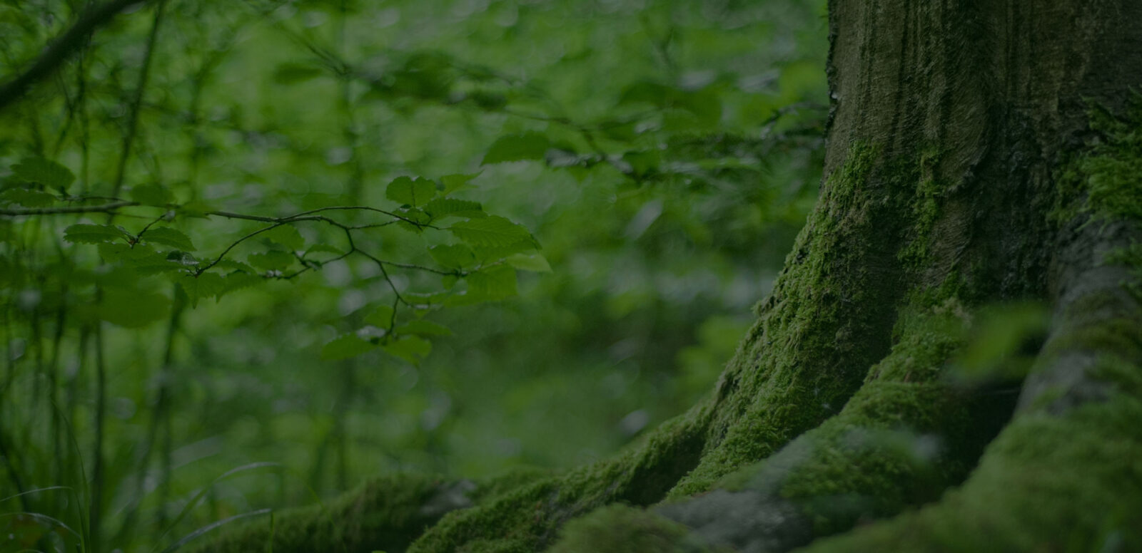 Kimmeridge | Investing in Energy for Today, Tomorrow and our Future